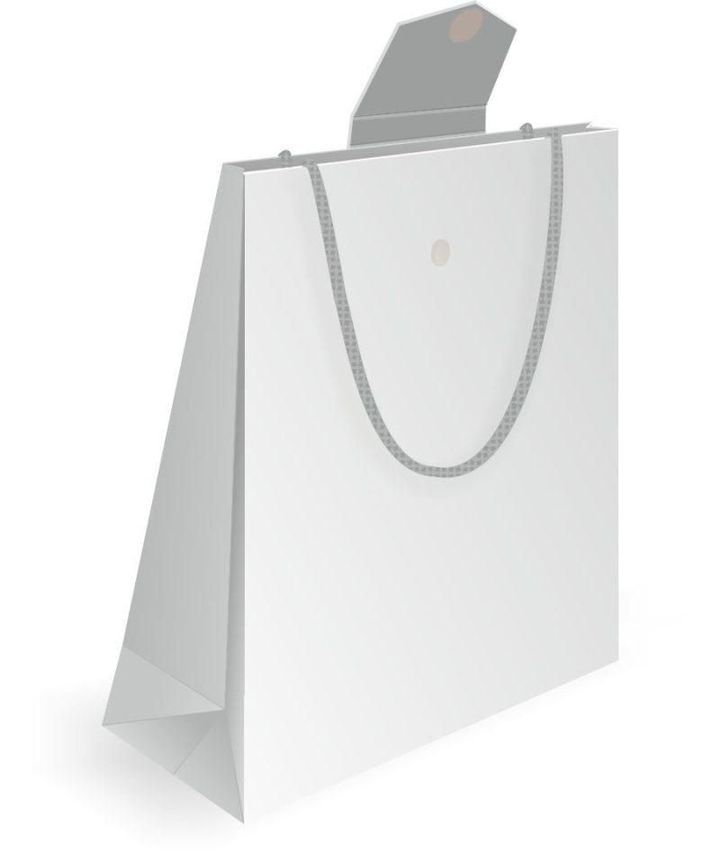 Creative Luxury Paper Bag Design Idea