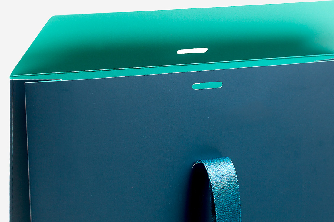 Printed paper bag with flap and ribbon closure