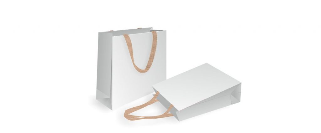 Paper Ribbon Handle Luxury Paper Bag & Custom Options